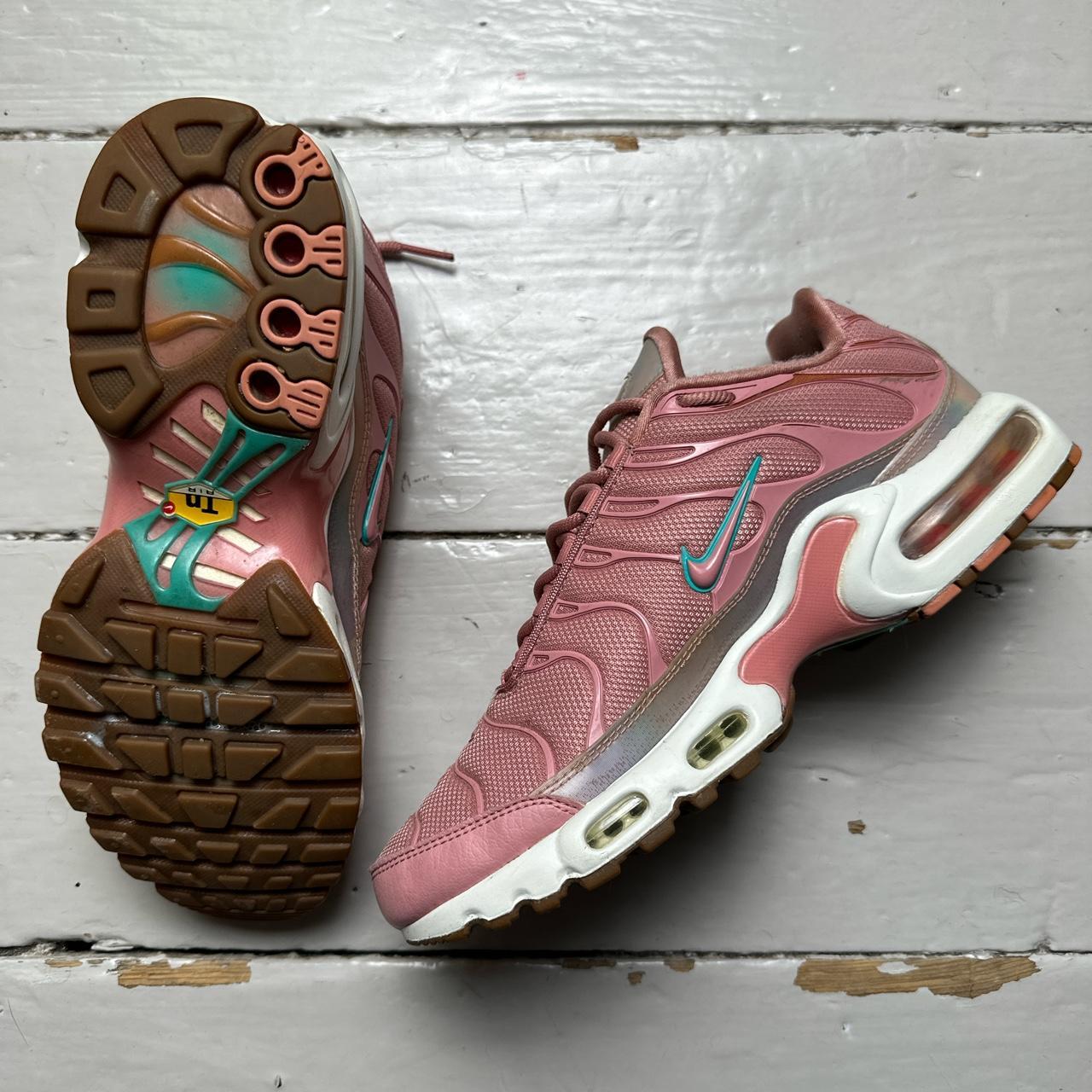 Nike TN Air Max Plus Pink and Blue – Wear Garson